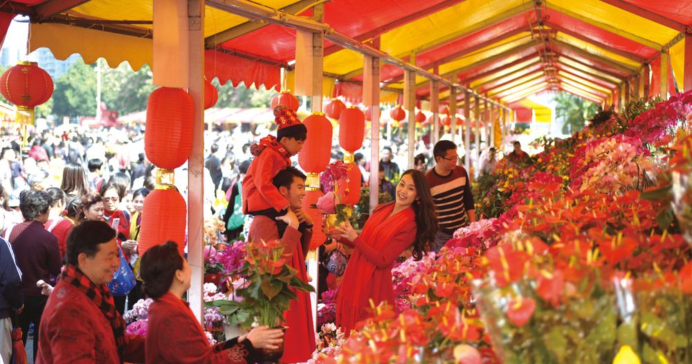 Discover Guangdong | Official Travel Website for Guangdong